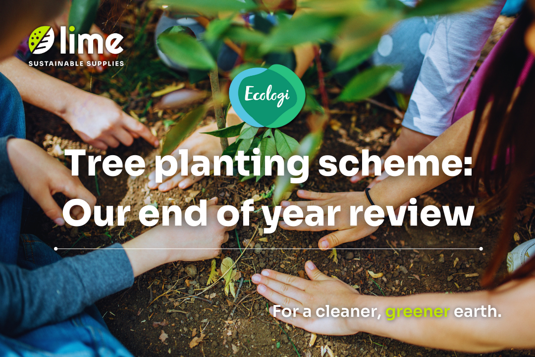 Tree planting scheme: Our end of year review - Lime Sustainable Supplies