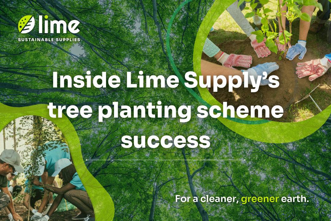 Inside Lime Supply's tree planting scheme success - Lime Sustainable ...